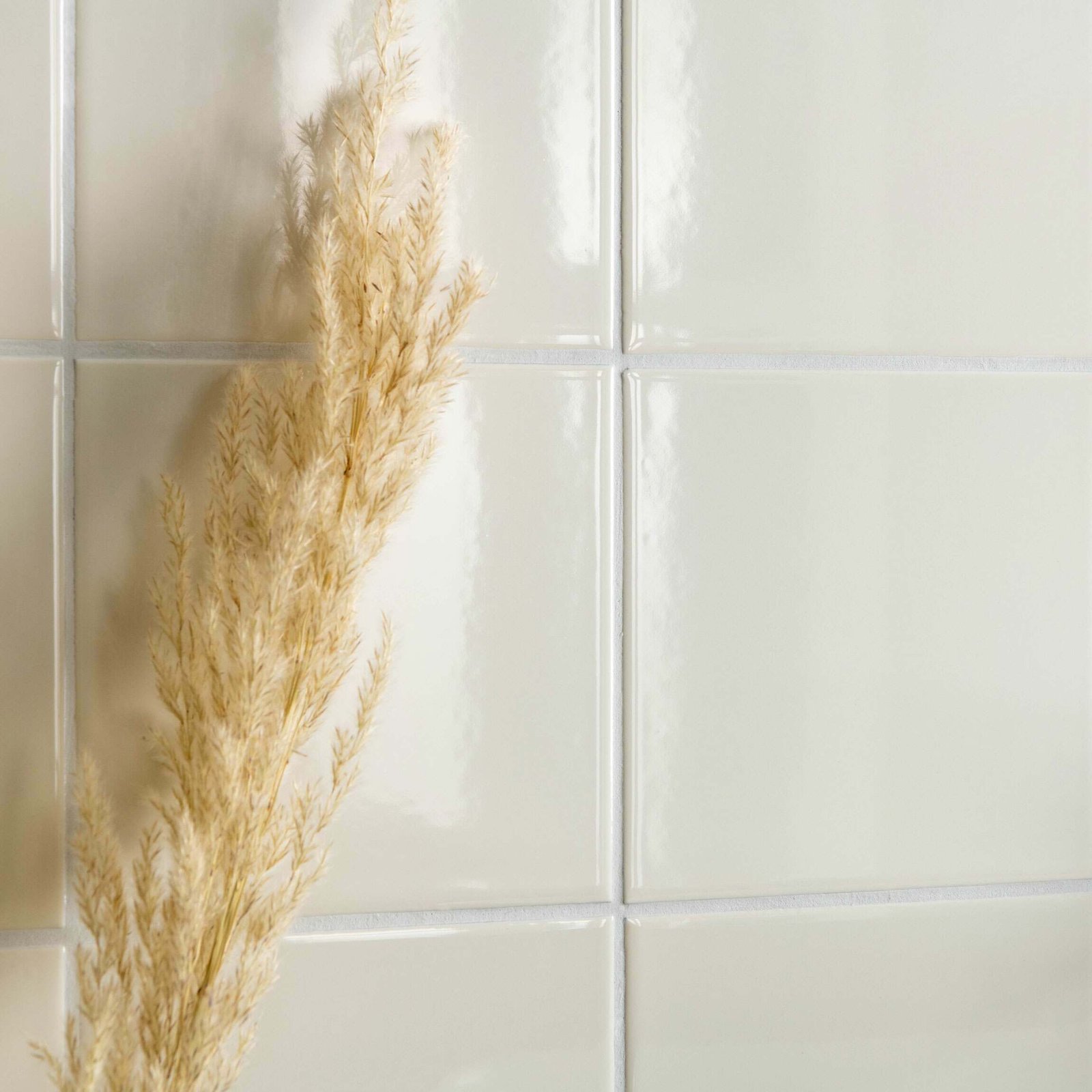 Colourful Cream Gloss Glazed Ceramic Wall - Tiles of London
